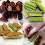 Ants on a log - Projects for Preschoolers